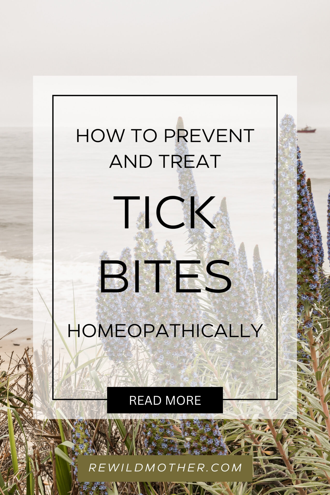 How to prevent and treat tick bites homeopathically - rewildmother.com