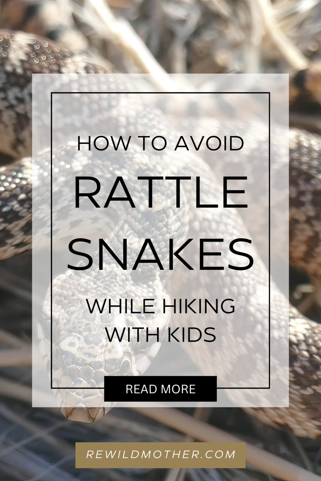 How To Avoid RATTLESNAKES While Hiking With Kids - rewildmother.com